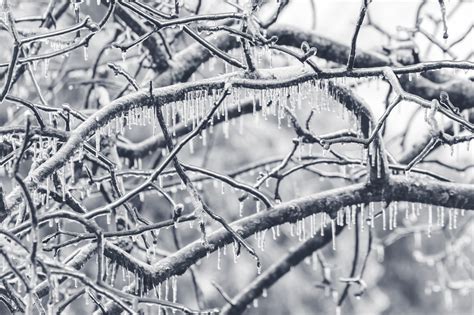 Meteorologii Au Emis Avertizare De Vreme Rea N Rom Nia Furtuna