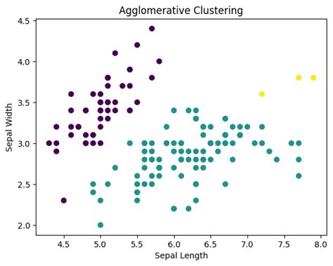 hierarchical clustering an in depth guide with python implementation codesignal learn