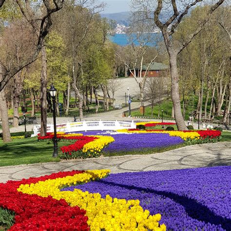 Emirgan Korusu On Twitter Nisan 2020 Emirgan Korusu Lale