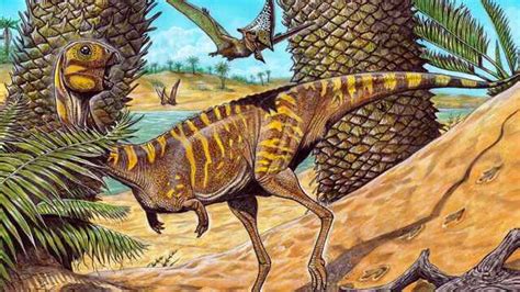Pesquisadores descobrem nova espécie de dinossauro brasileiro Jornal