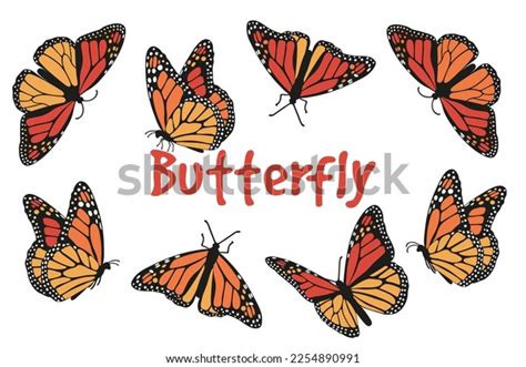 Monarch Butterflies Set Vector Illustration Isolated Stock Vector