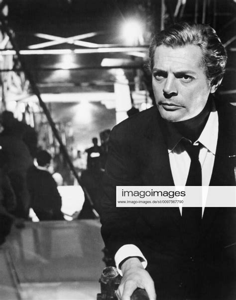 Marcello Mastroianni Wallpapers Wallpaper Cave