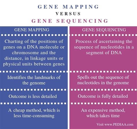 a gene map shows