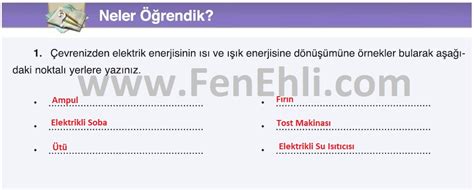7 Sınıf Fen Bilimleri Ders Kitabı Cevapları 2015 2016 FenEhli
