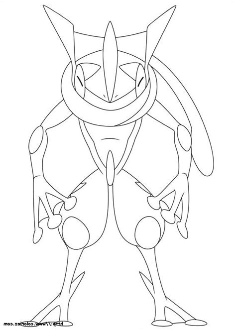 12 Élégant Amphinobi Coloriage Pictures Coloriage pokemon Coloriage
