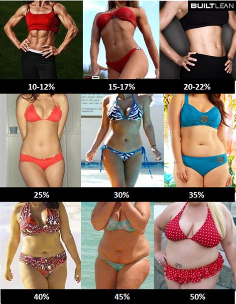 What Does Your Body Fat Percentage Look Like Living Fit