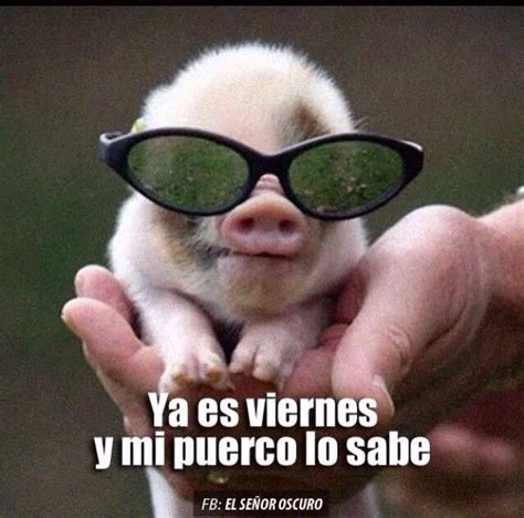 Lista 91 Foto Es Viernes Y El Cuerpo Lo Sabe Meme Lleno