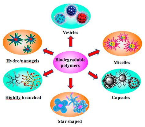 Polymers Free Full Text Biodegradable Polymeric Architectures Via