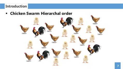 chicken swarm optimization cso
