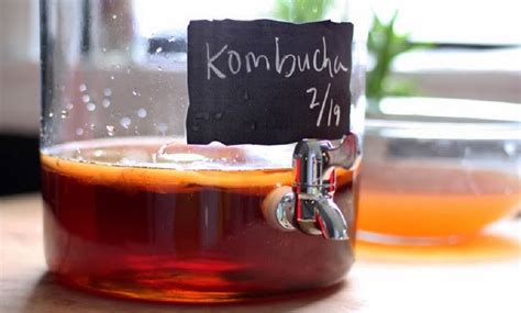 Qué es y cómo preparar Kombucha bebida probiótica ancestral con altos