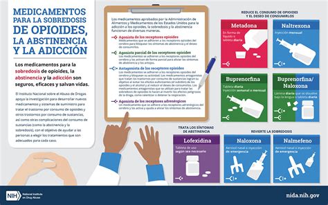 Los Medicamentos Para La Sobredosis La Abstinencia Y La Adicci N A Los