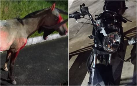 Entregador fica ferido após bater motocicleta em cavalo em avenida de