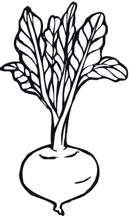 Plantillas De Verduras Para Colorear Imagui