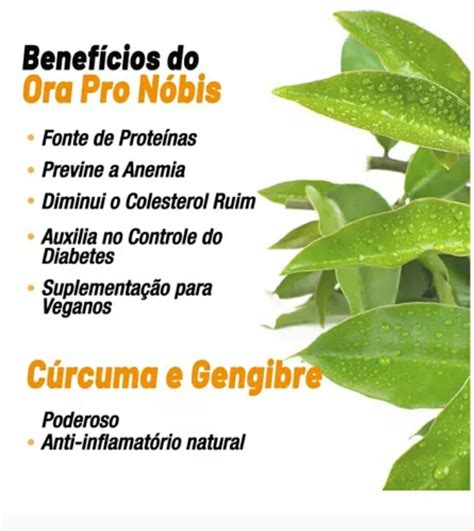 Ora Pro Nóbis Curcuma Gengibre 120 Cápsulas 500mg Elo7
