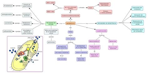 Micromapa Mapa Antibioticos Microbiolog A I Unam Studocu The Best