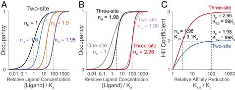 rational design to control the trade off between receptor affinity and cooperativity pnas