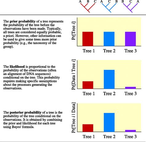 bayesian inference of phylogeny and its impact on evolutionary biology science