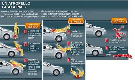 Anatomía del atropello a un peatón Trauma Road Safety Multimedia Toy