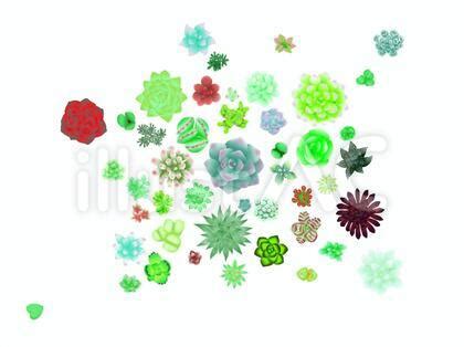 多肉植物イラスト No 480928無料イラスト フリー素材ならイラストAC