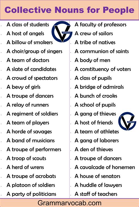 Saint A Collective Nouns English Grammar A Team Scientist Teachers