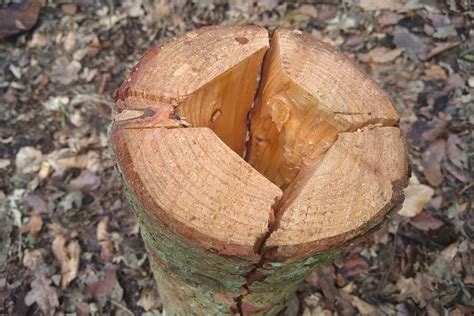 How To Make A Rocket Stove Bushcraft With David Willis