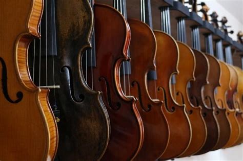 Violin Facts Everything You Need To Know About The Violin