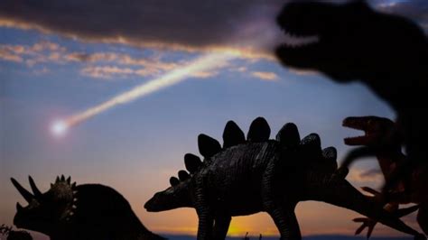 El meteorito que acabó con los dinosaurios así fue el último día de
