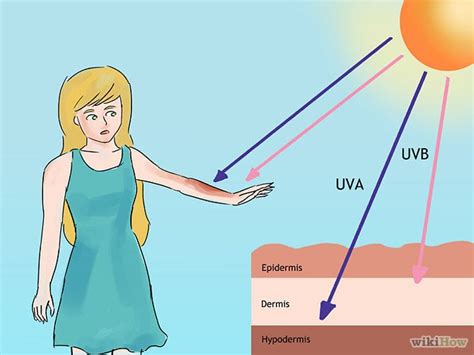 How Does The Sun Damage Skin Southeast Radiation Oncology Group