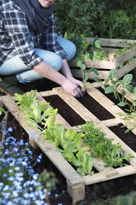 12 idées pour fabriquer un potager en palette en 2024 Potager
