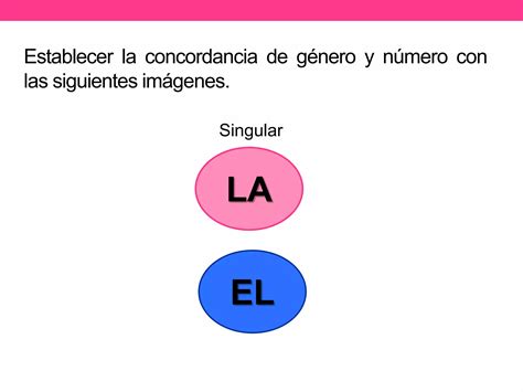 Actividad De Concordancia De Genero Y Numero PPT