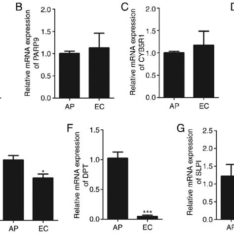 MRNA Expression Of Differential Proteins In EC And AP Tissues A