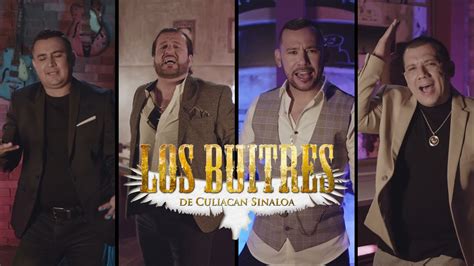 Los Buitres De Culiacán Sinaloa Jalones Polvo y Tinta Chords Chordify