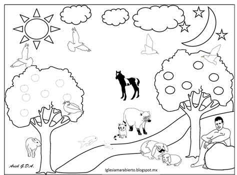 Estudio bíblico para niños La Creación Mar de Vida Abundante