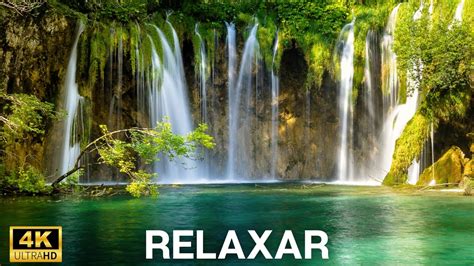 M Sica Para Meditar E Relaxar Sons Da Natureza V Deo K Uhd Youtube