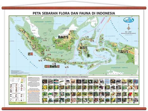 Peta Persebaran Flora Di Indonesia Beserta Penjelasannya