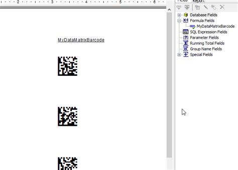data matrix barcodes in crystal reports barcodewiz