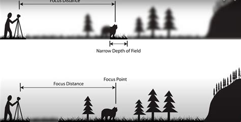 28mm Vs 35mm Lens Main Differences FotoProfy