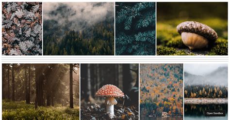 React Photo Gallery With Image Viewer Codesandbox