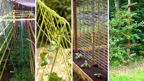 12 BEST Trellis For Cucumber In Raised Beds Slick Garden