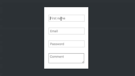 float label pattern for vue js