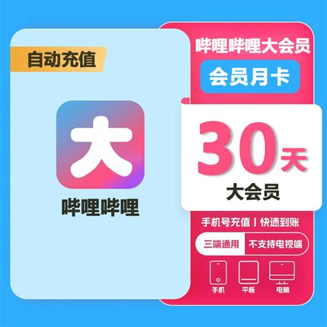 Bilibili B