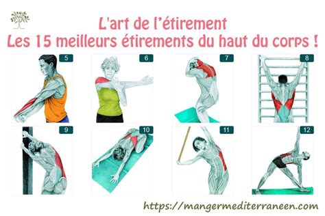 Lart de létirement Les 15 meilleurs étirements du haut du corps