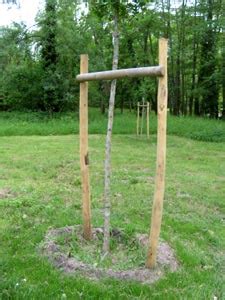 Tuteurer Un Arbre