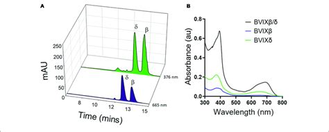 hplc separation of bvixδ and β isomers from supernatant a hplc download scientific