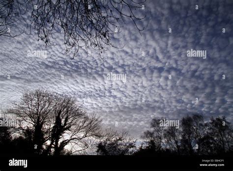 Altocumulus Stratiformis Translucidus Germany Stock Photo Alamy