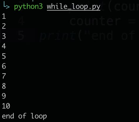 While Loop In Python Programmerabroad