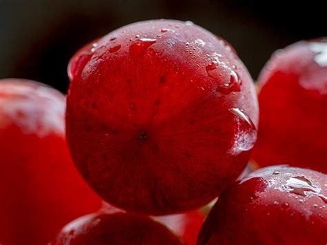Les Raisins Peuvent R Duire Le Stress Oxydatif Et Am Liorer La Vision