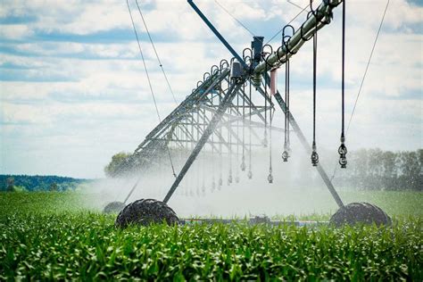 Desenvolvimento do Manejo da Irrigação Agro Insight