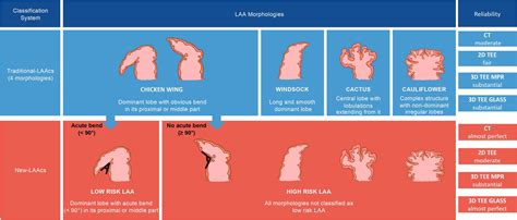 Accuracy And Reliability Of Left Atrial Appendage Morphology Assessment
