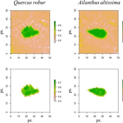 threshold segmentation for spectral feature extraction before a and download scientific